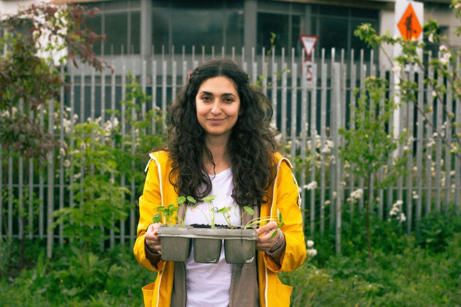 Faces Behind D8 - Irene Rondini, Volunteer Gardener at Taplin's Fields ...
