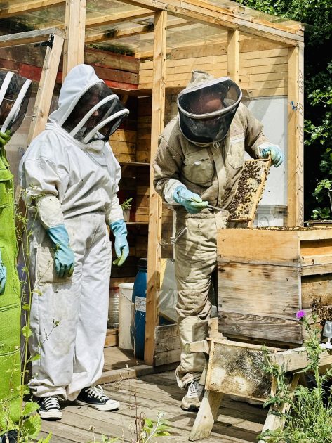 The Liberties Community Project Presents: Beekeeping Experience ...